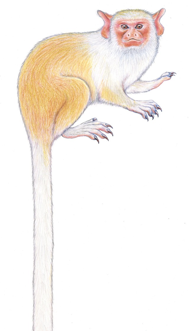 Universidade Federal de Viçosa - Notícias