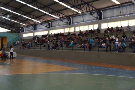 Universidade Federal de Viçosa - Notícias